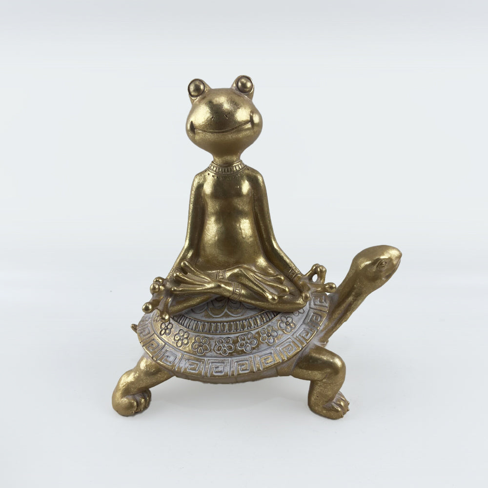 Frog on Turtle Meditating – Acquisitions New Zealand