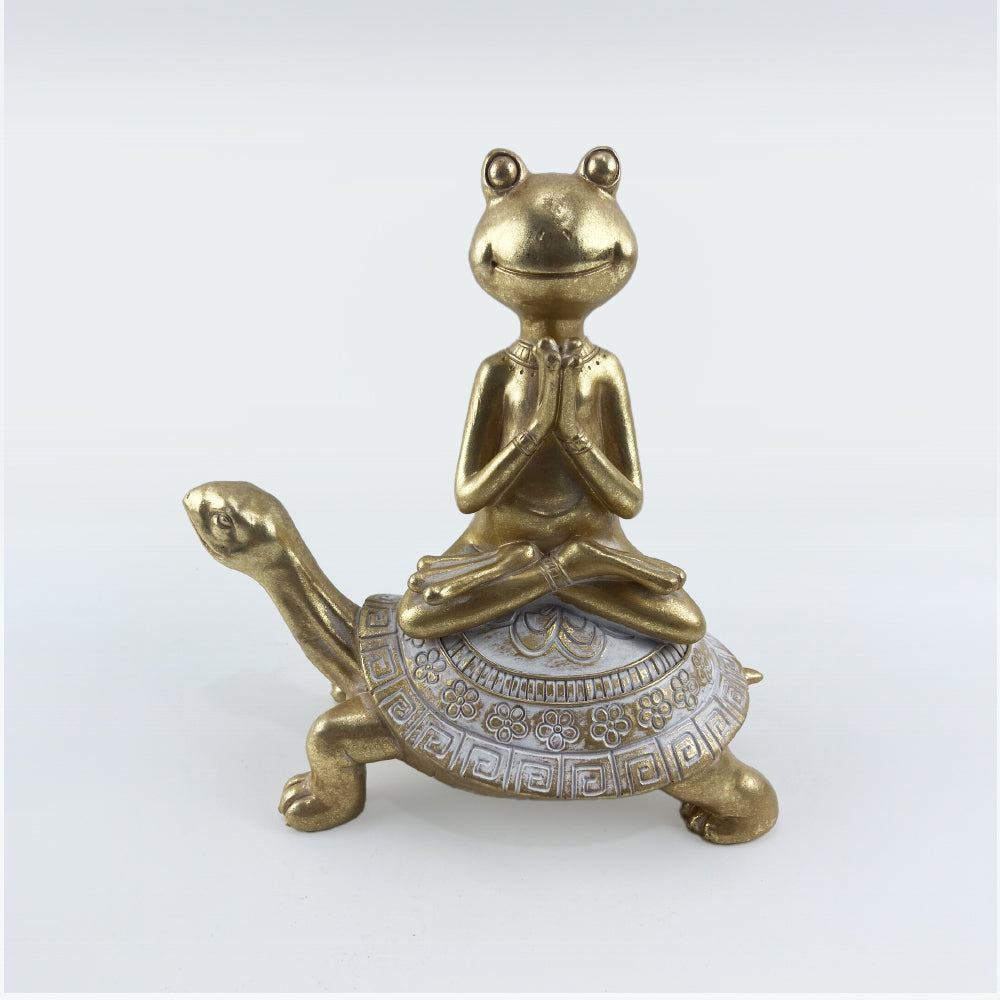 Frog on Turtle Praying – Acquisitions New Zealand